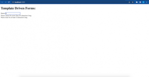 Angular Form Validation with Sample Project