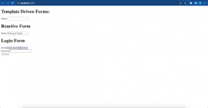 Angular Form Validation with Sample Project